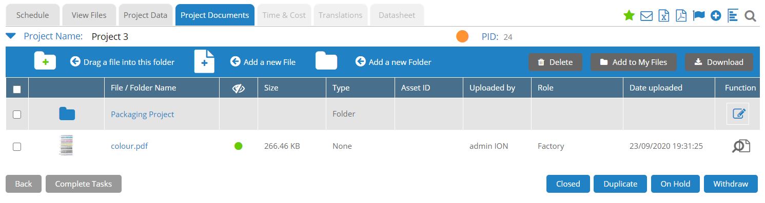 Using Project Documents